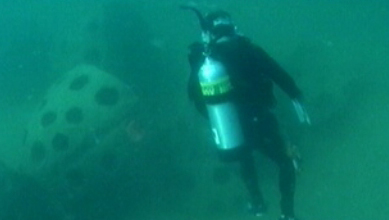 OAR Reef Research and Video Reports